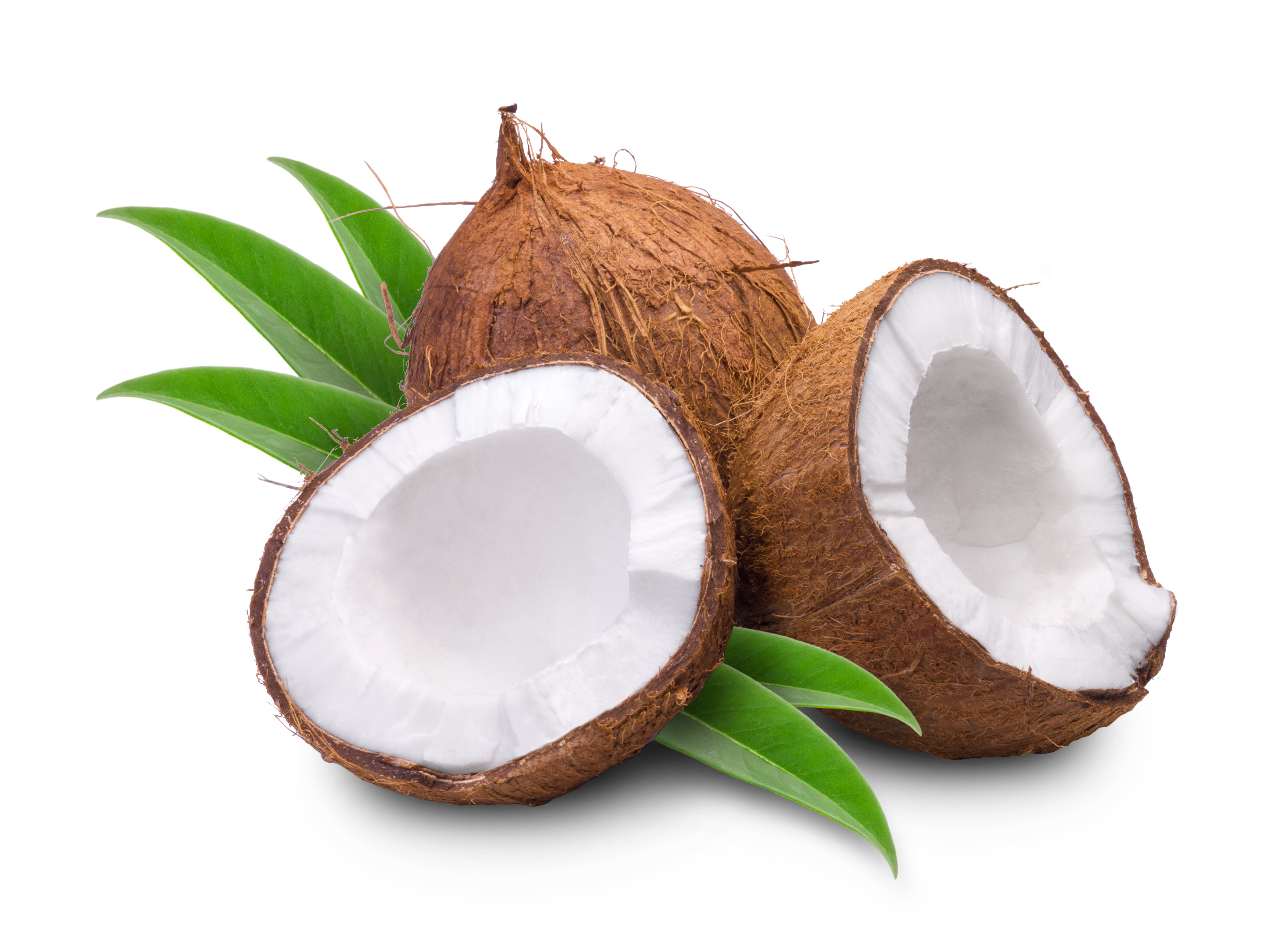 COCONUT - DRY – Neymarfarm