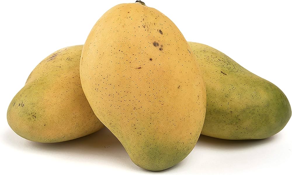 MANGO - HAITIAN – Neymarfarm