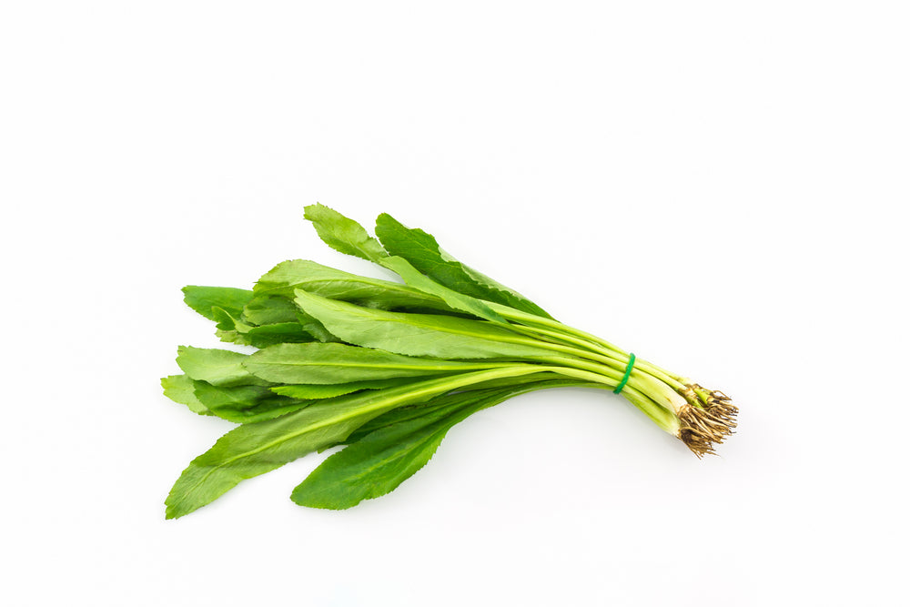 CULANTRO - RECAO – Neymarfarm